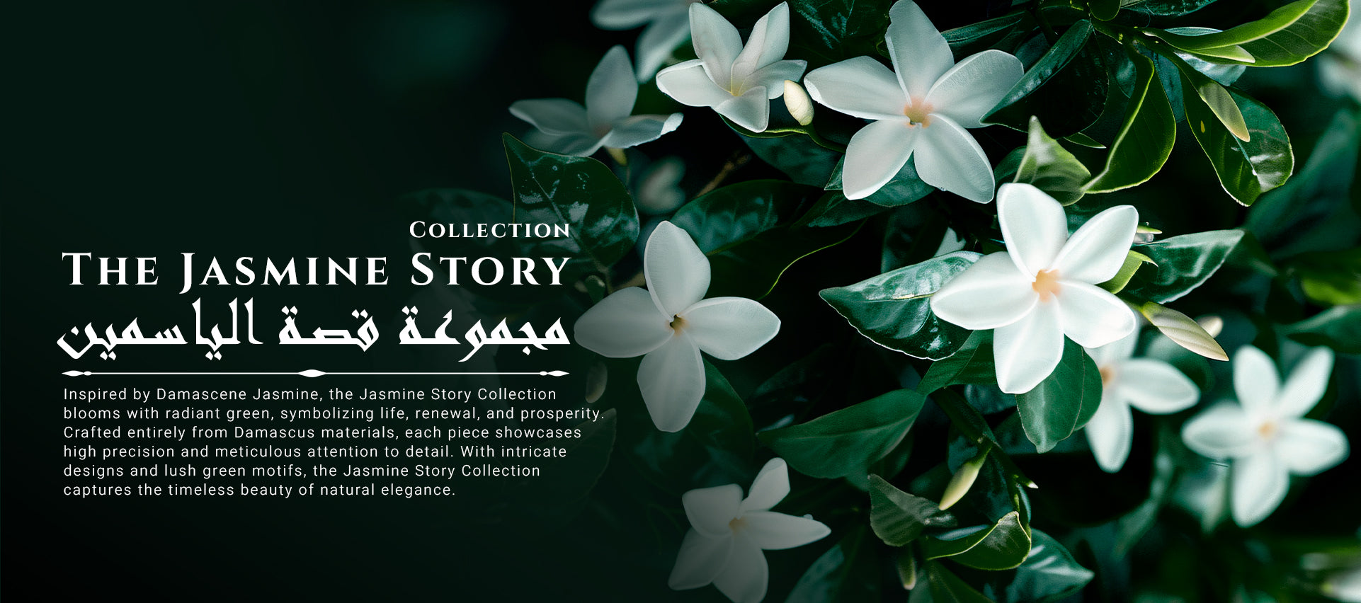 Jasmine Story – Maha Al Sibai